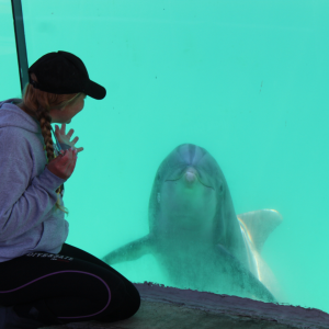 Animals - Six Flags Discovery Kingdom