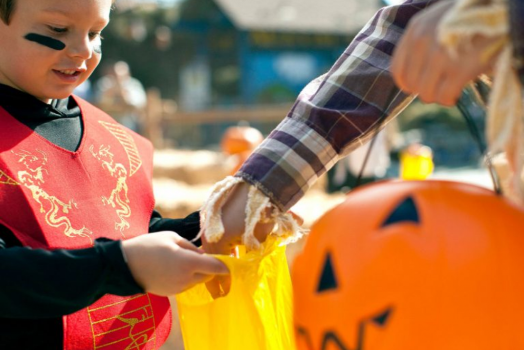 Your 2025 Guide to Kid Friendly Fall Fun at Six Flags Over Georgia