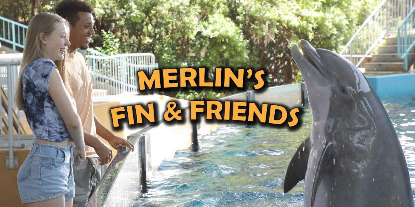 Merlin's Fins and Friends - Six Flags Discovery Kingdom