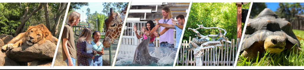 Animal Interactions - Six Flags Discovery Kingdom