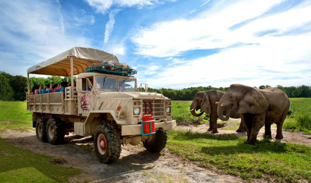 Wild Safari Six Flags Great Adventure Resort Animal Encounter