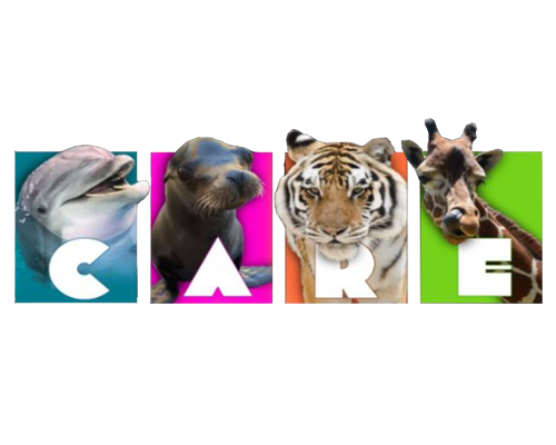 Animals - Six Flags Discovery Kingdom