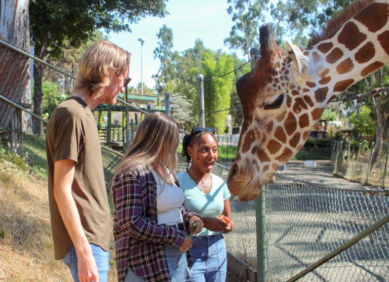 Animal Interactions - Six Flags Discovery Kingdom