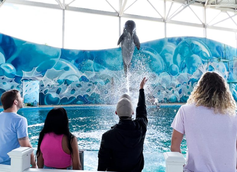 Animal Interactions - Six Flags Discovery Kingdom